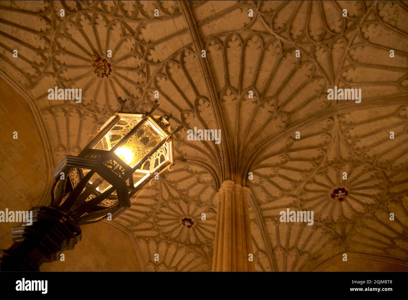 Lantern and ornate carved stone ceiling of Bodley Tower above the ...
