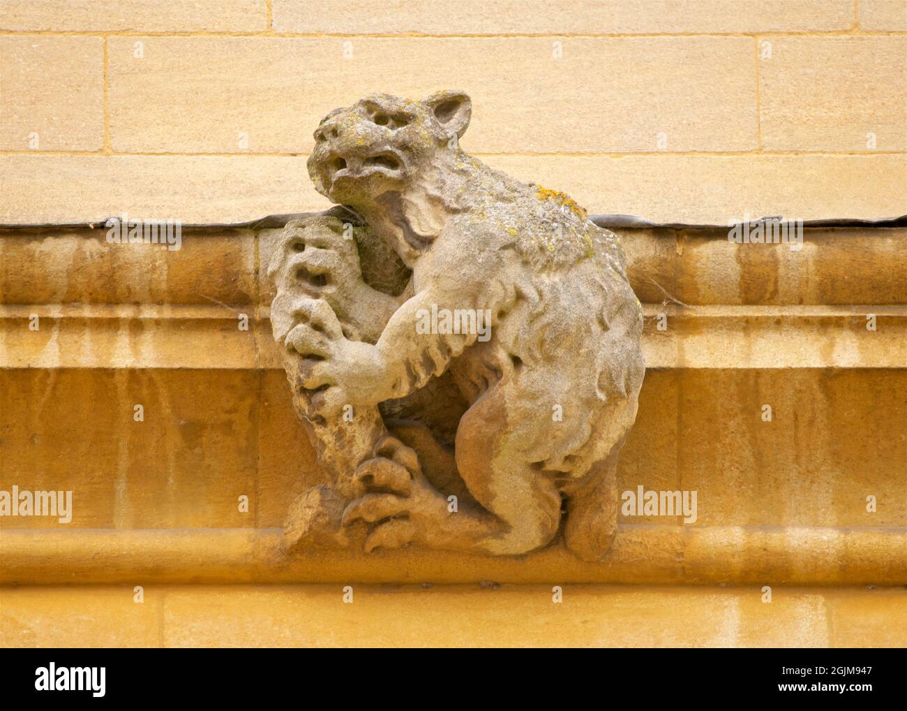 Stone carved decoration. Gargoyle on exterior of the Bodleian Library ...