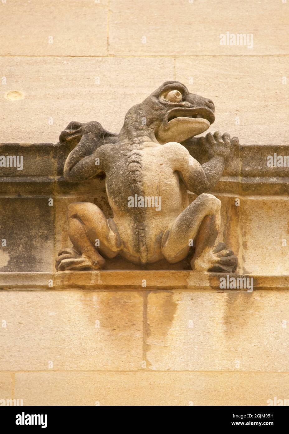 Salamanderclimbing hi-res stock photography and images - Alamy