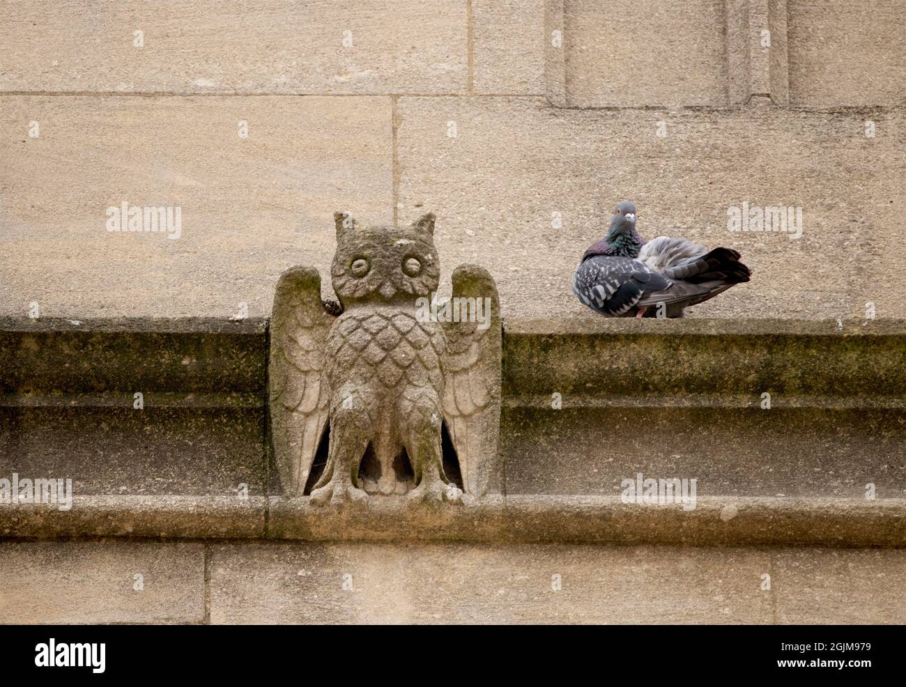 Stone carved decoration. Gargoyle of an owl next to a pigeon on ...