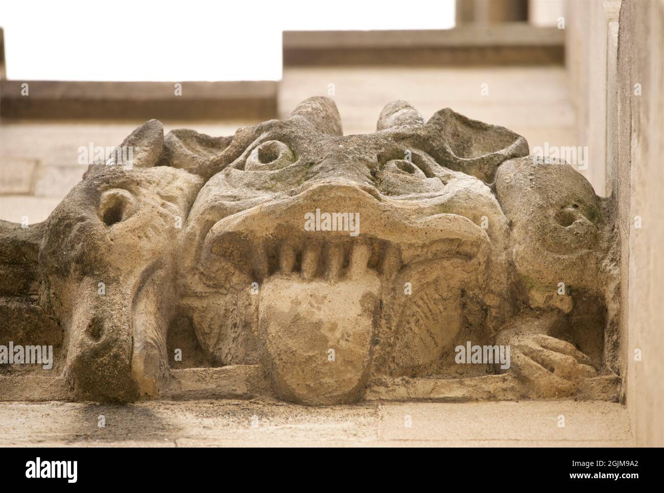 Gargoyle pig hi-res stock photography and images - Alamy