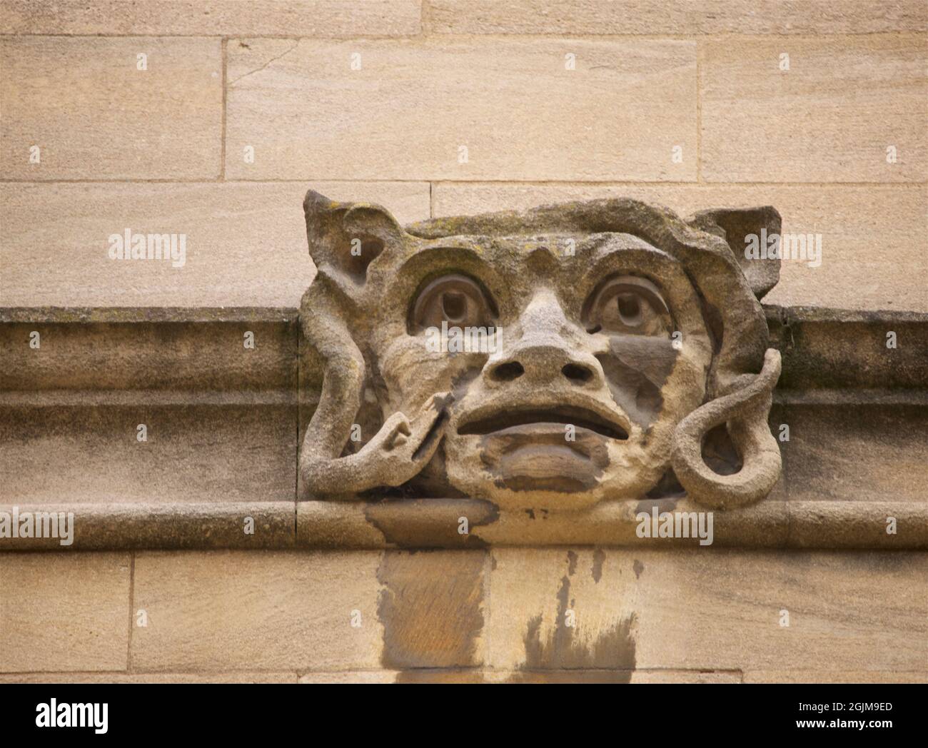 Stone carved gargoyle af a face on the exterior of the Bodleian Library ...