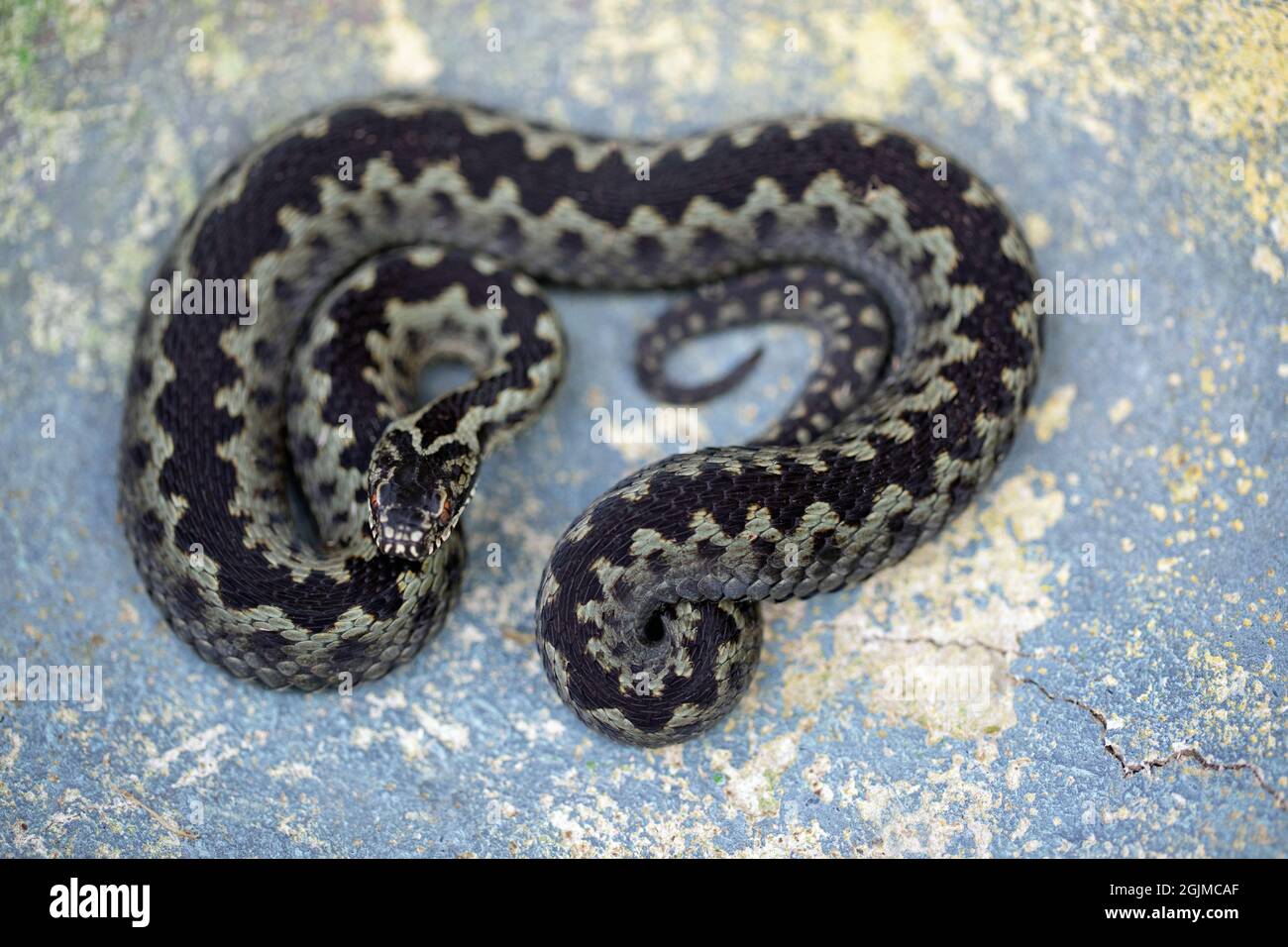 House exposed position hi-res stock photography and images - Alamy