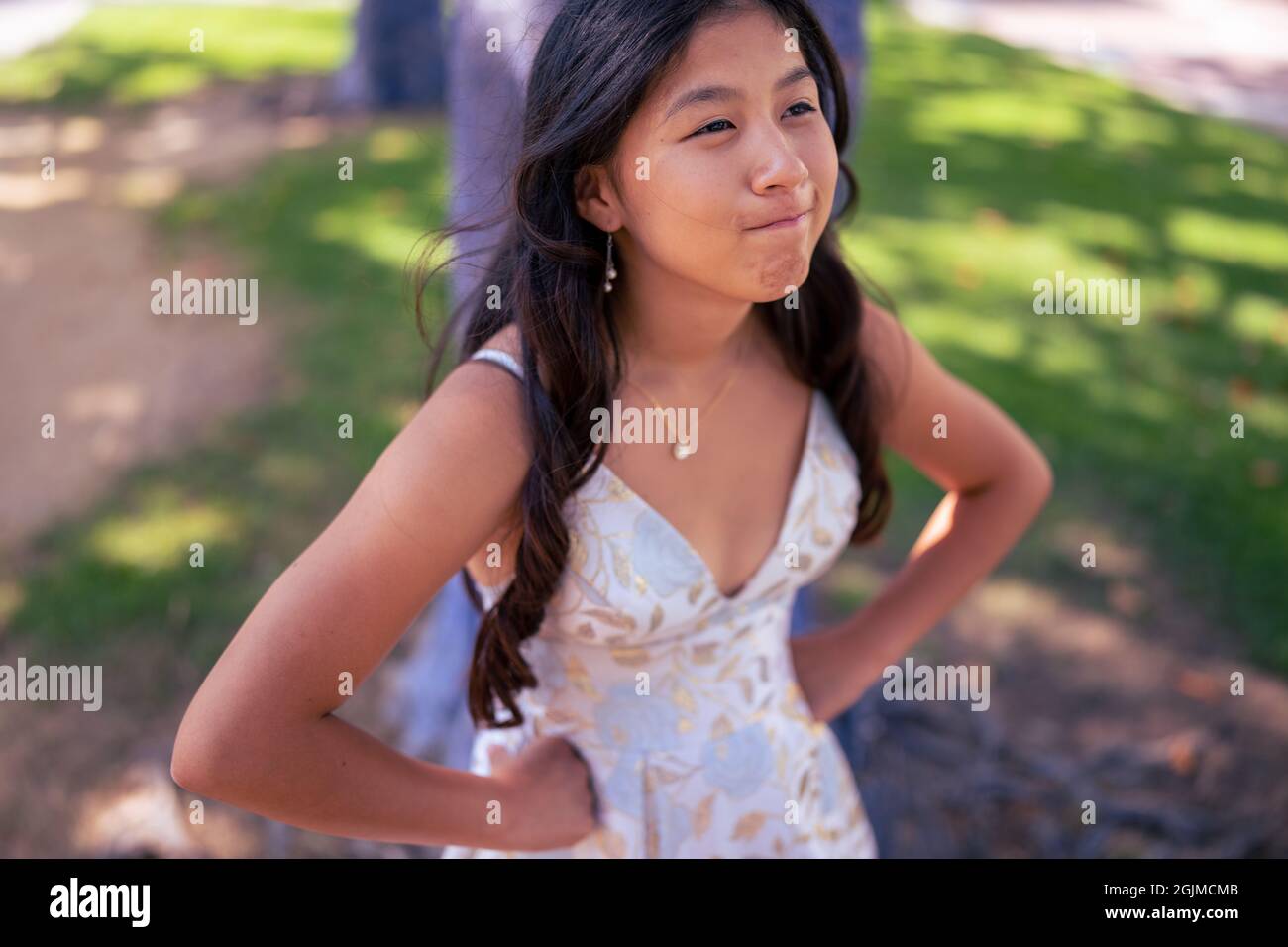 Asian trees hi-res stock photography and images - Alamy