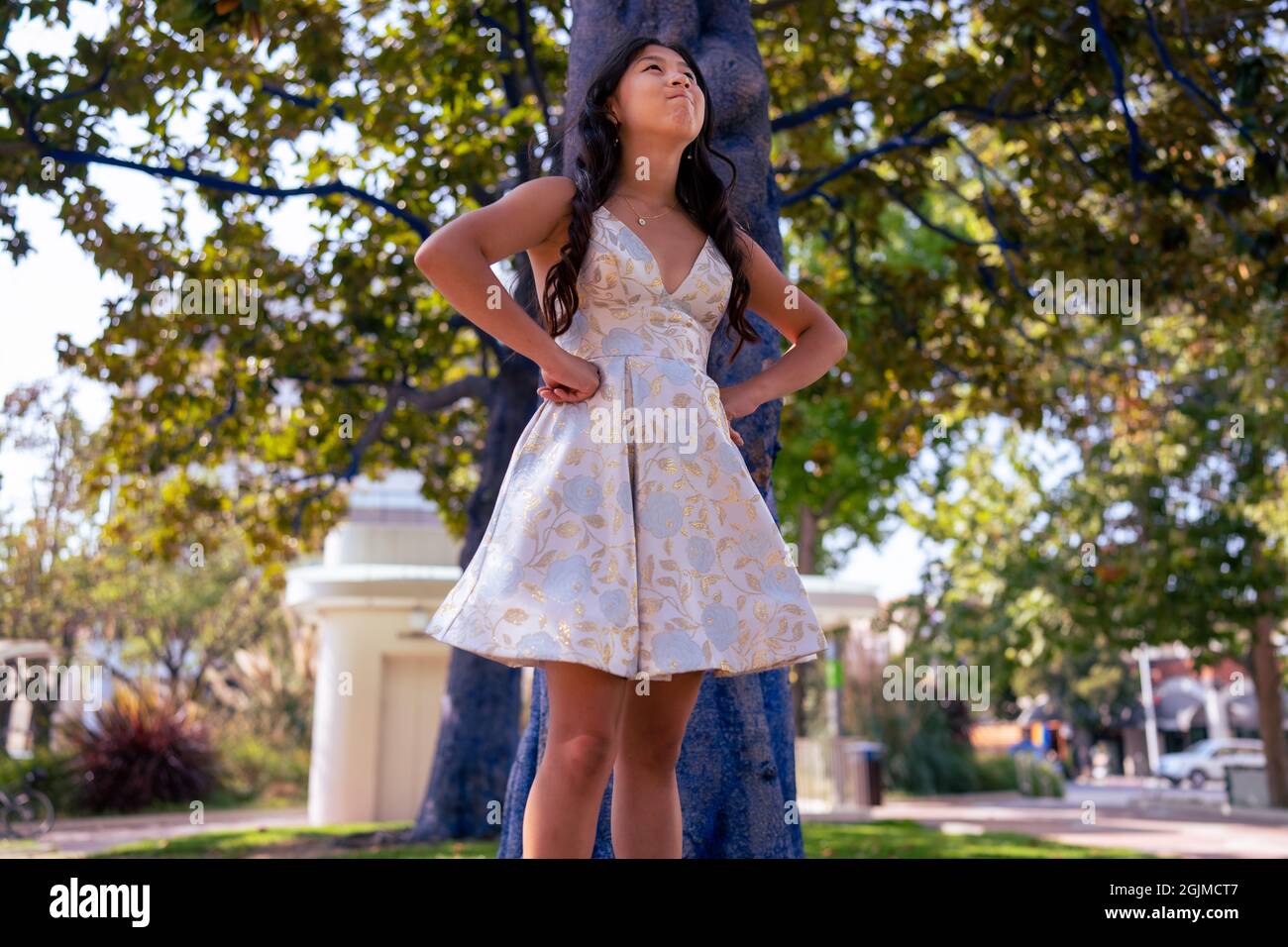 Asian trees hi-res stock photography and images - Alamy