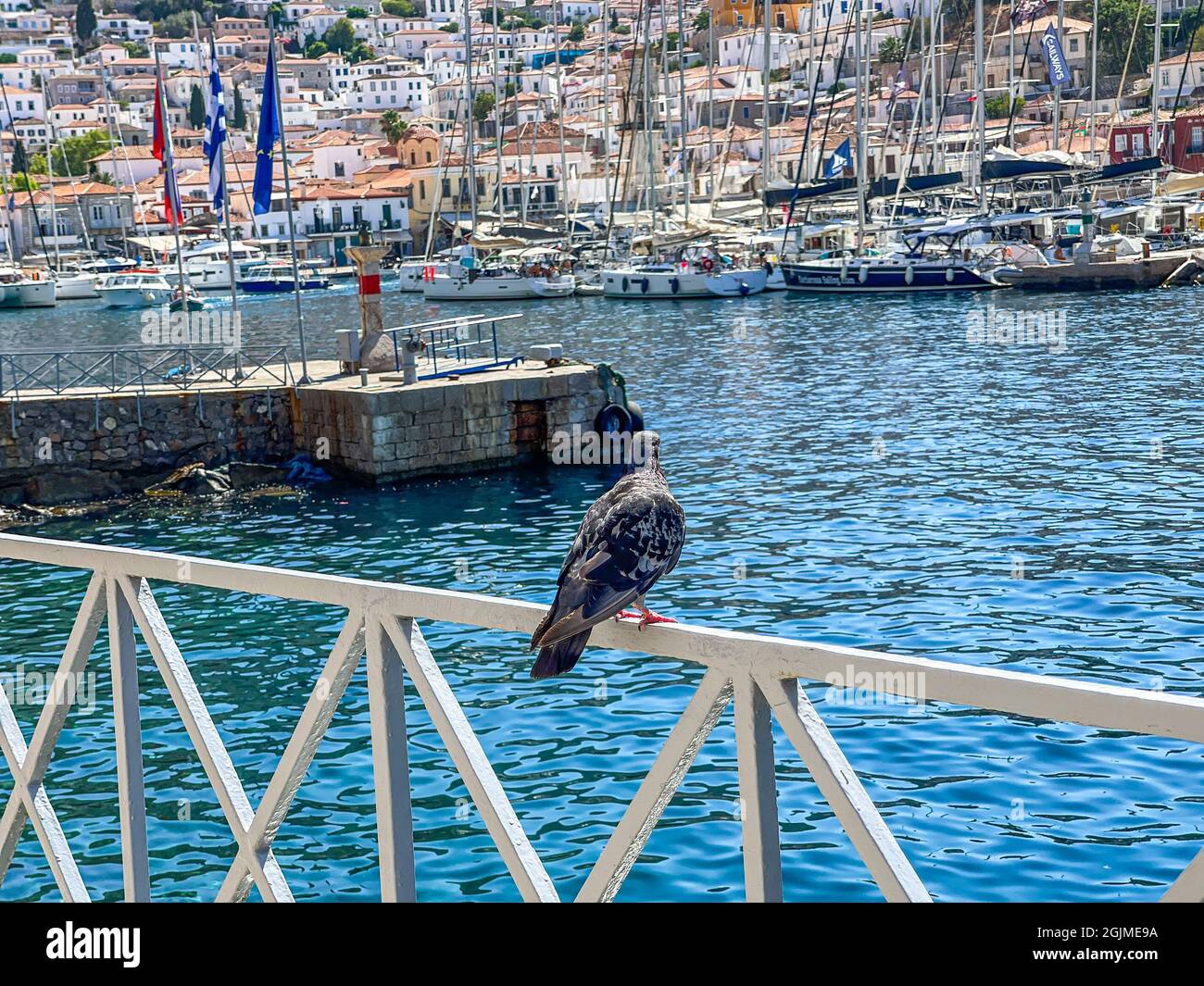 Beautiful seascape scenery by the island of Hydra, Greece Stock Photo ...