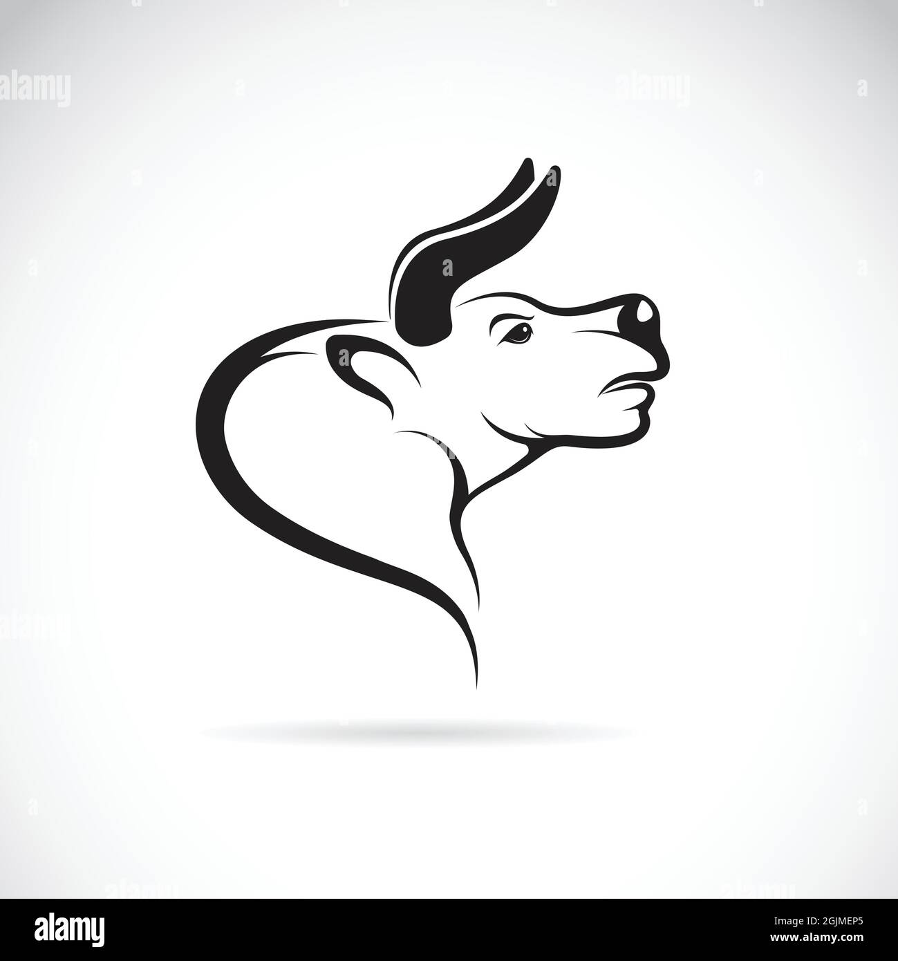 Bull Head Drawing Side