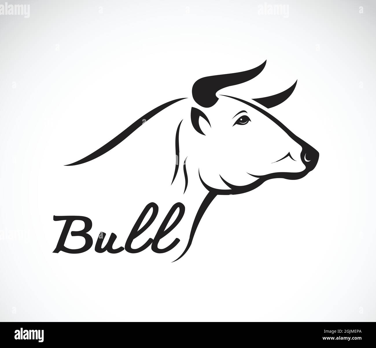Vector image of a bull head on a white background. Easy editable ...