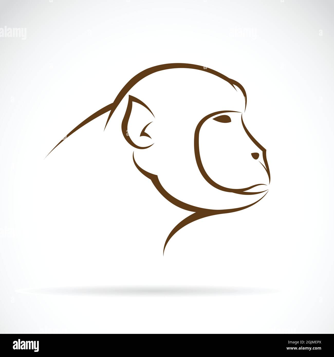 Monkey Face Vector