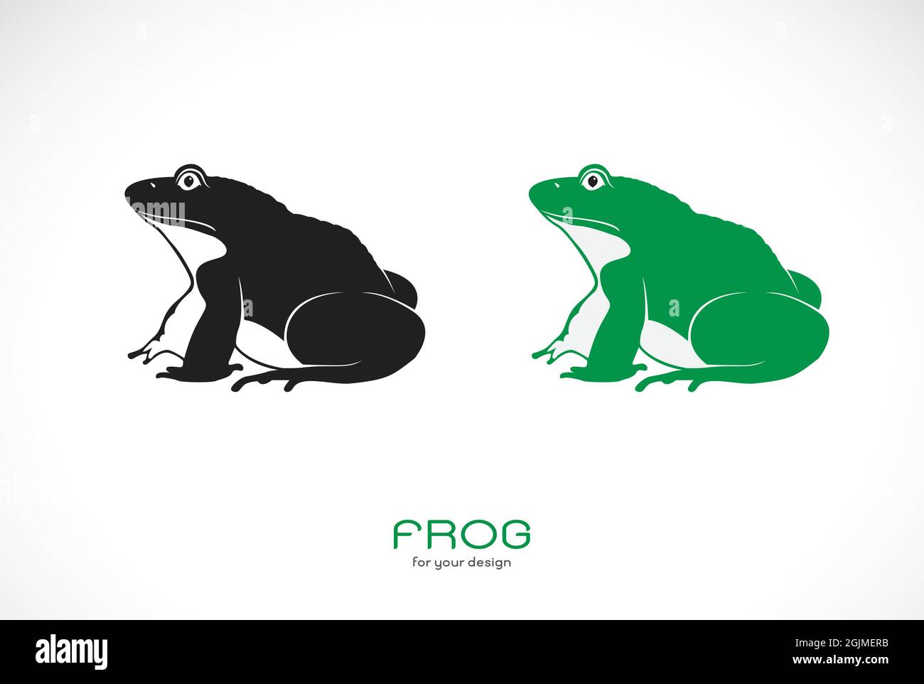 Vector of green frogs and black frog on white background. Amphibian ...