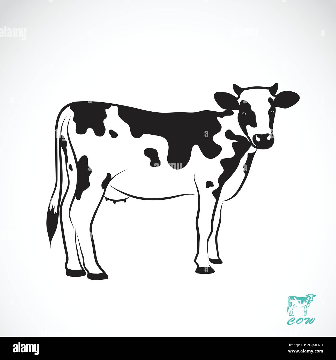 Vector image of a cow on white background. Easy editable layered vector ...