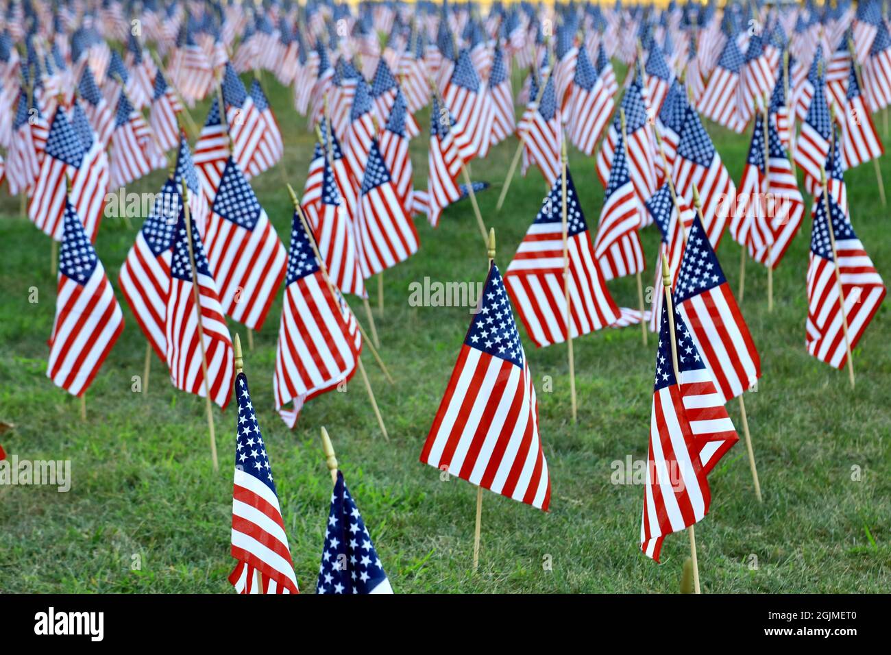 Field with flags hi-res stock photography and images - Alamy