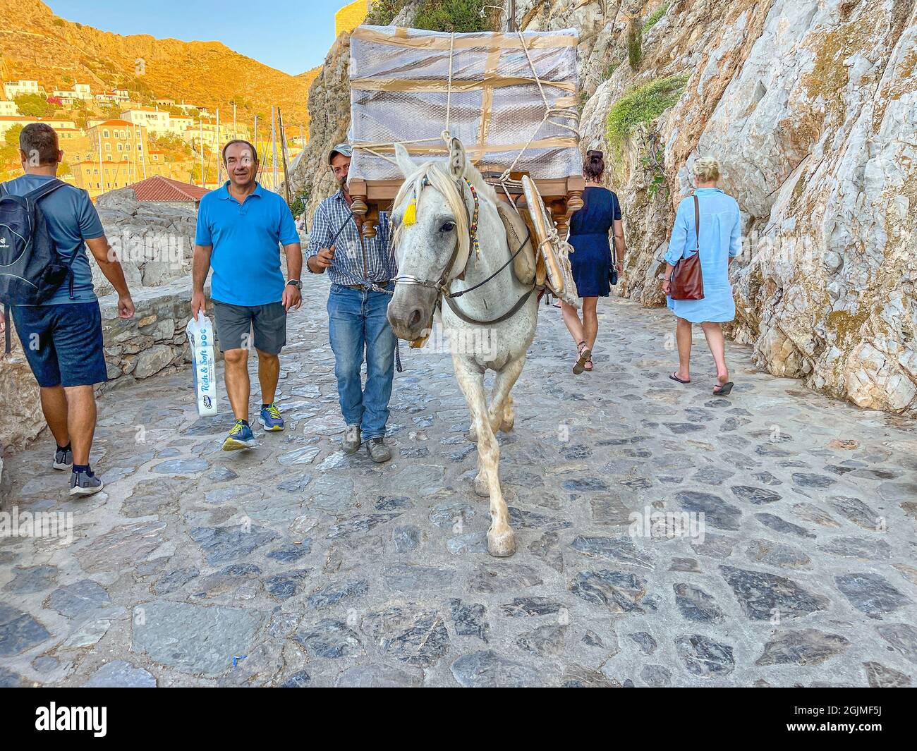 Donkeys at the Greek island of Hydra. They are the only traditional ...