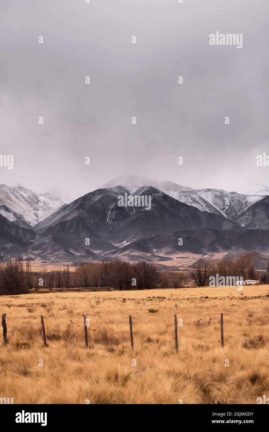 Snowy Andes Mountains looming over vast dry grasslands in Tupungato ...