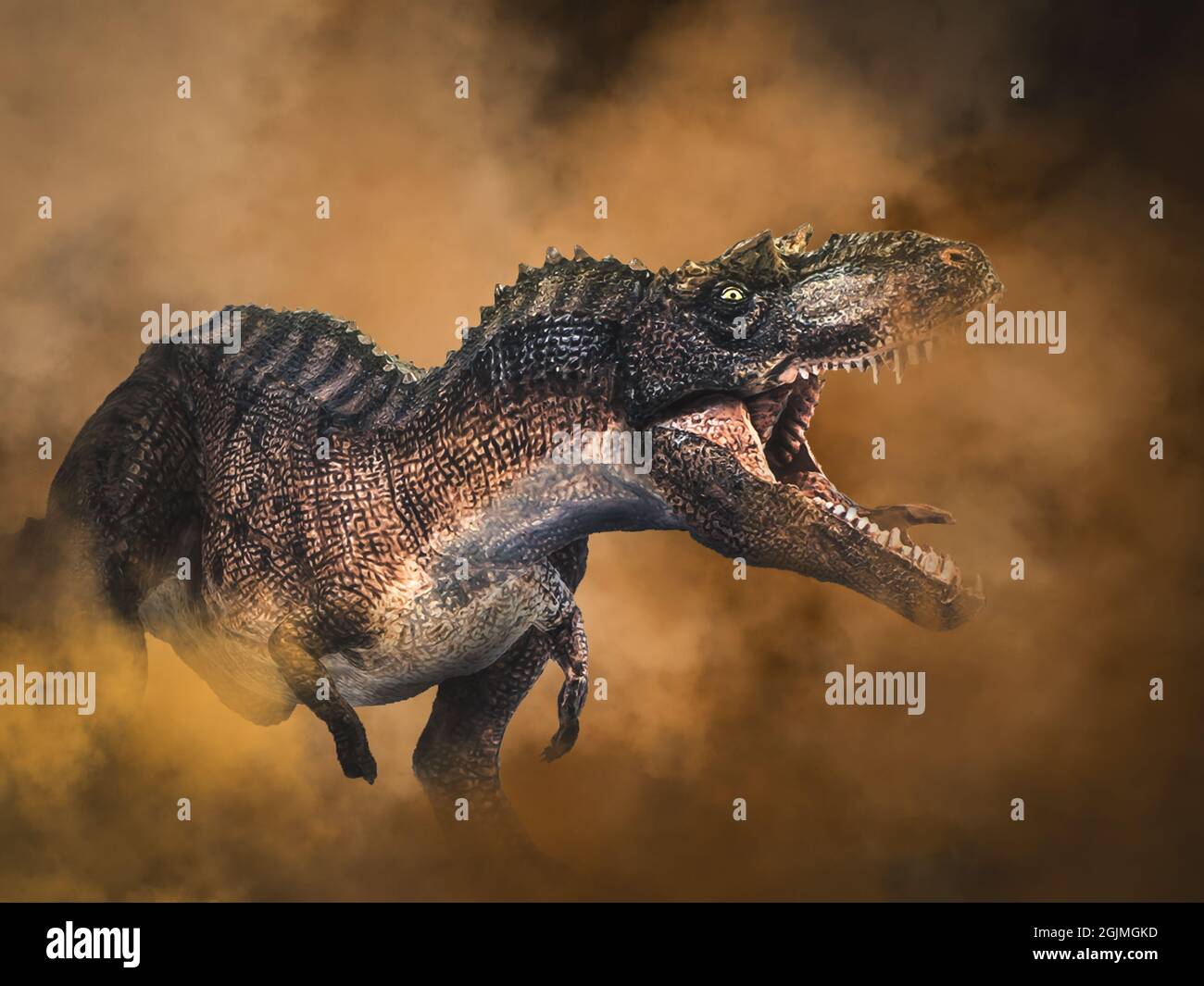 Gorgosaurus Dinosaur on smoke background Stock Photo - Alamy