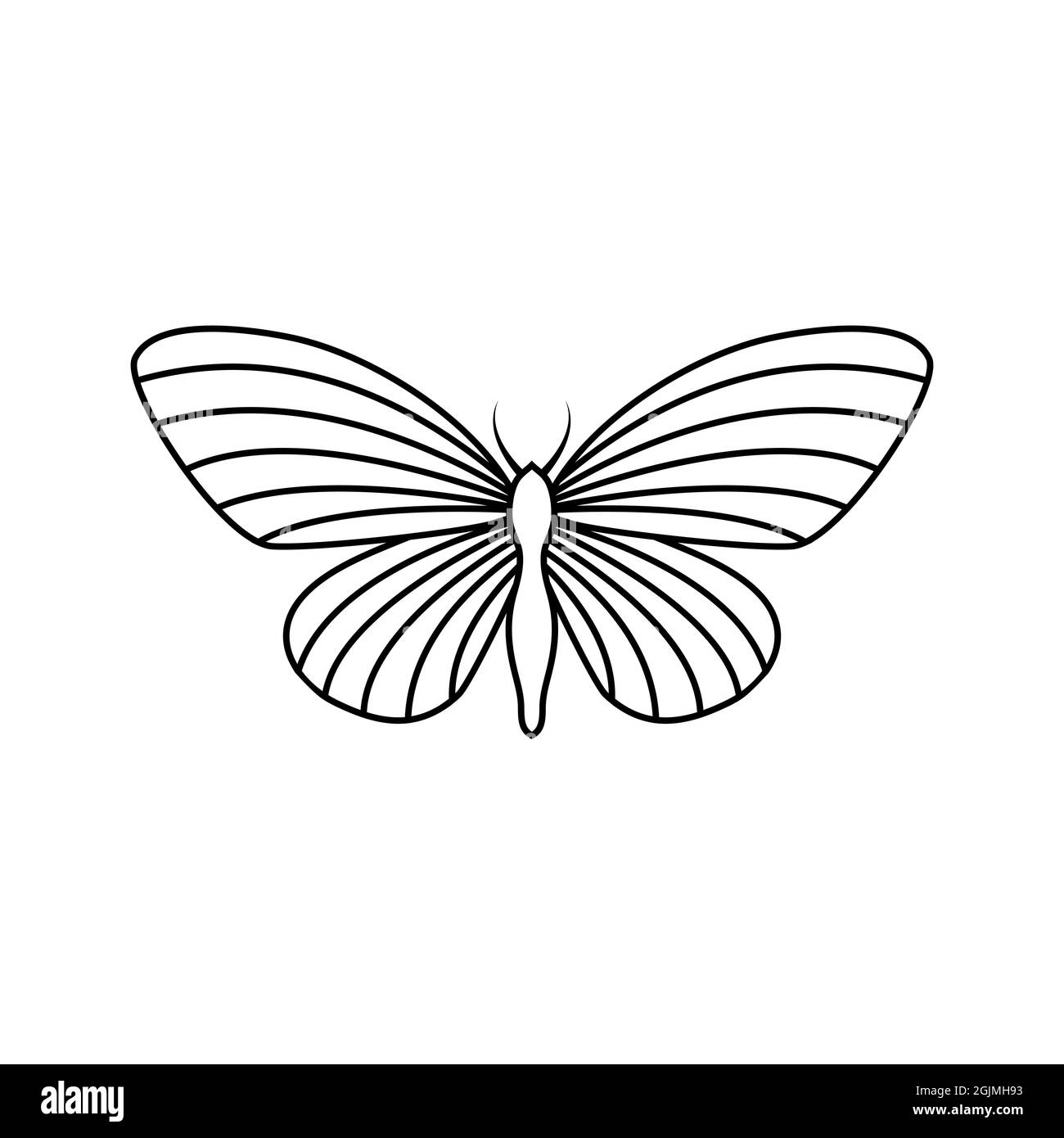 Butterfly icon in line art style Stock Vector Image & Art - Alamy