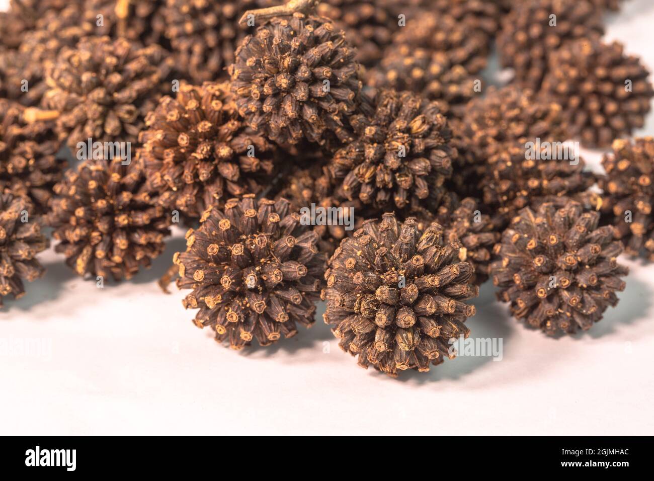 Kratom seeds hi-res stock photography and images - Alamy