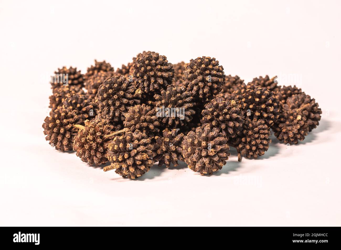 Kratom seeds hi-res stock photography and images - Alamy