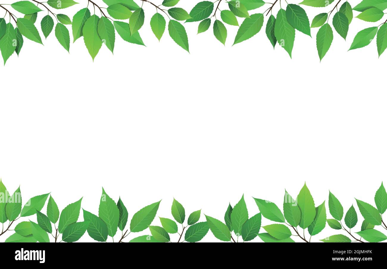 Frame of leaves. Vector illustration Stock Vector Image & Art - Alamy