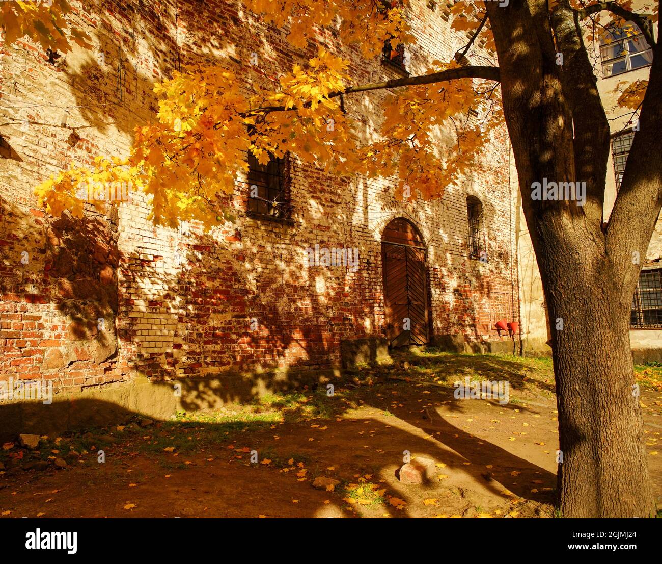 Vyborg palace hi-res stock photography and images - Alamy
