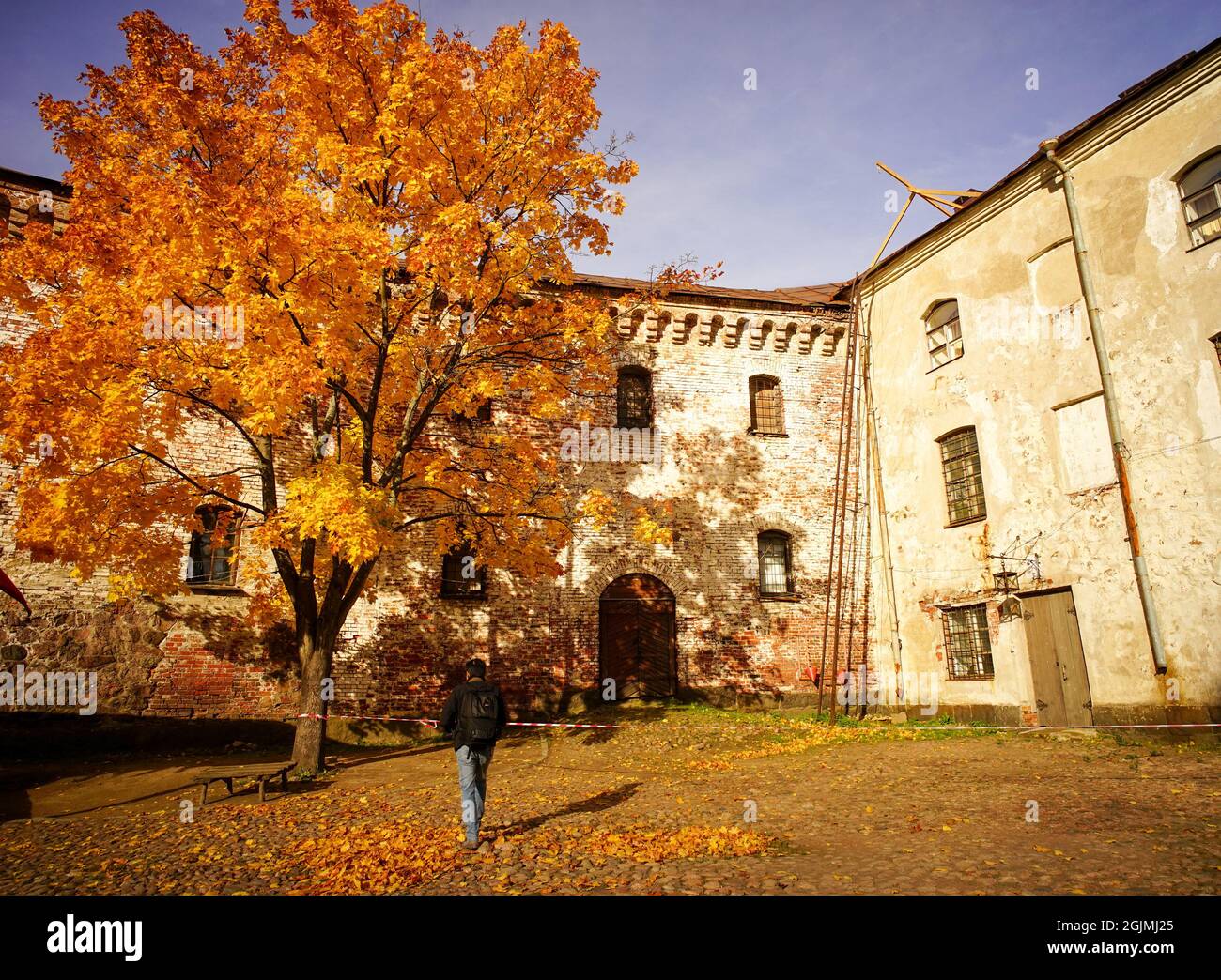 Vyborg palace hi-res stock photography and images - Alamy