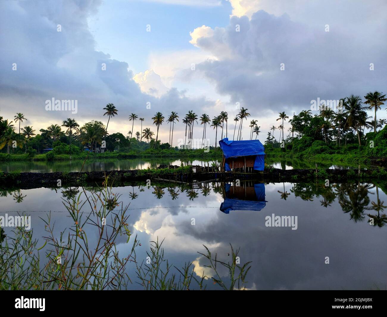 Backwater of Kerala-Gods own country Stock Photo - Alamy