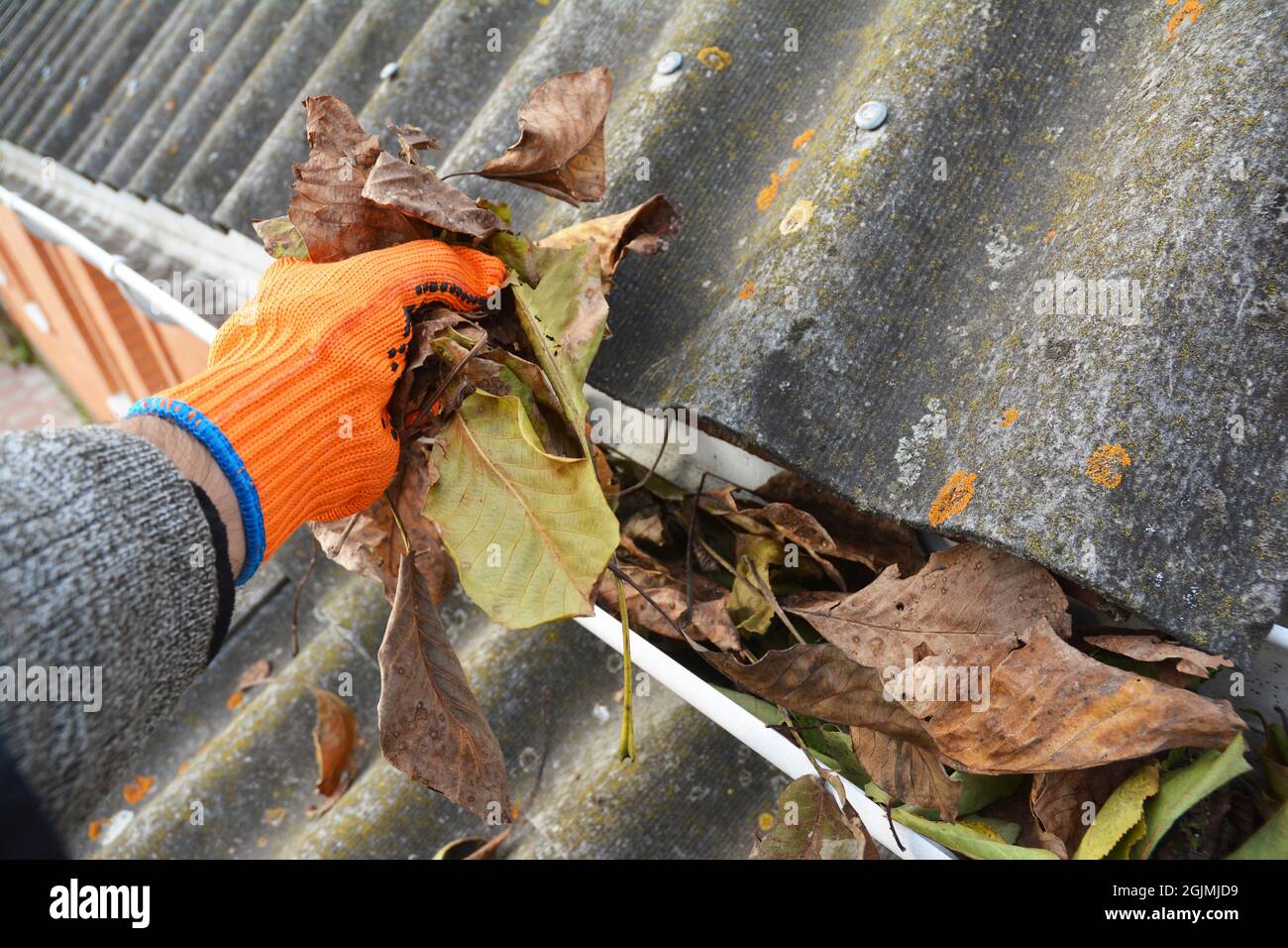 Rain Gutter Cleaning from Leaves in Autumn . Roof Gutter Cleaning Tips ...