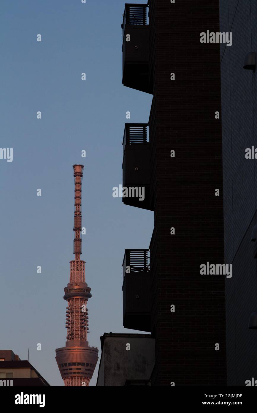 Tokyo Skytree at dusk seen behind the balconies of an apartment ...