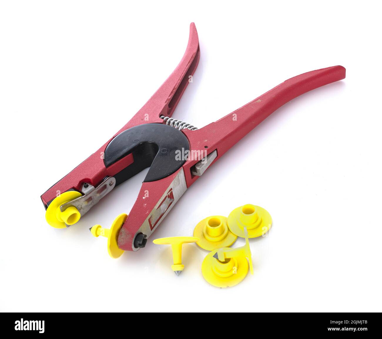 pliers for animal identification in front of white background Stock ...