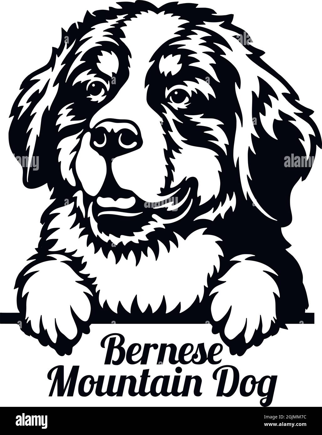 Bernese picture Stock Vector Images - Alamy