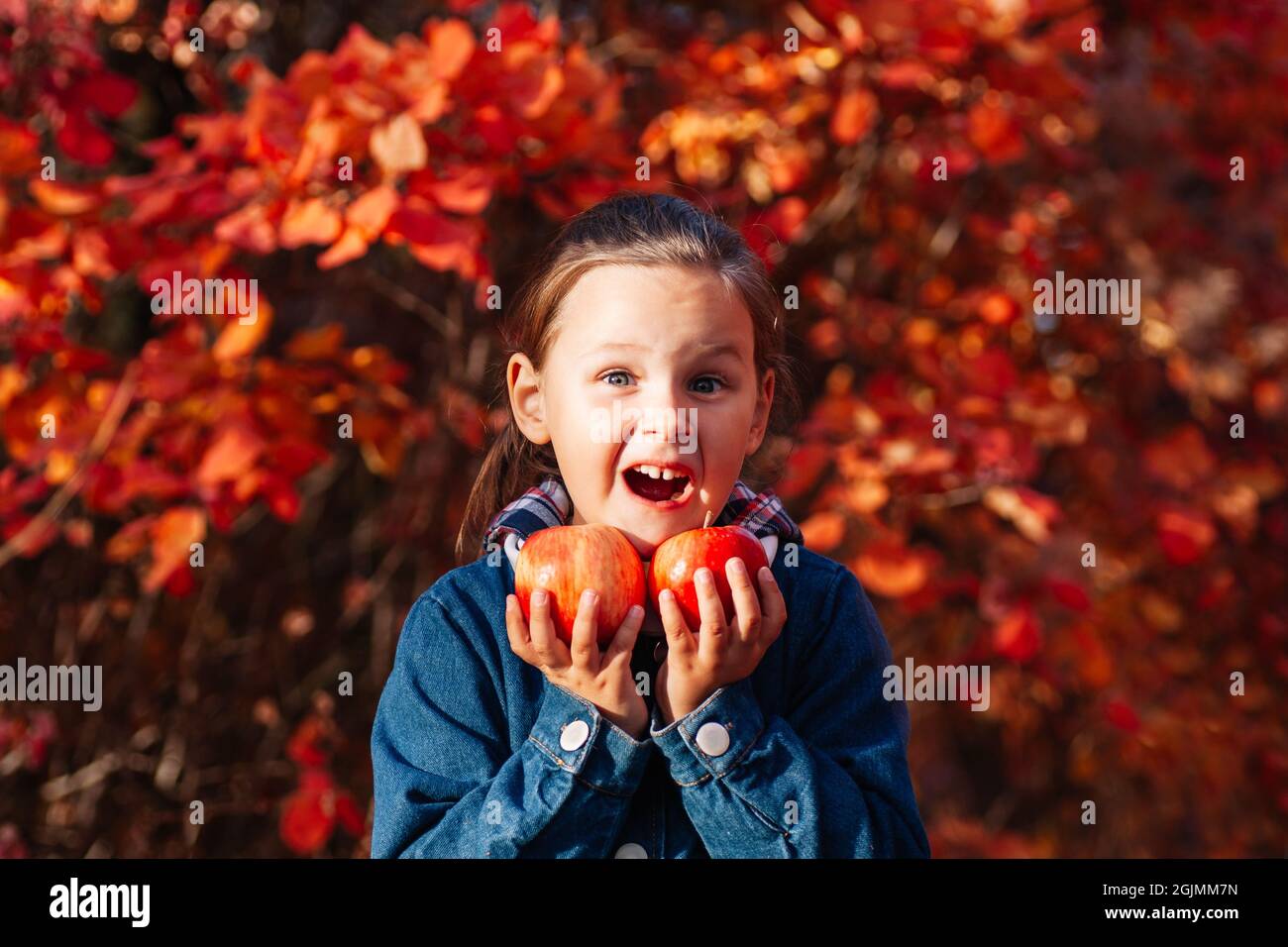 close up happiness concept. Cute smiling girl hold big red apple with ...