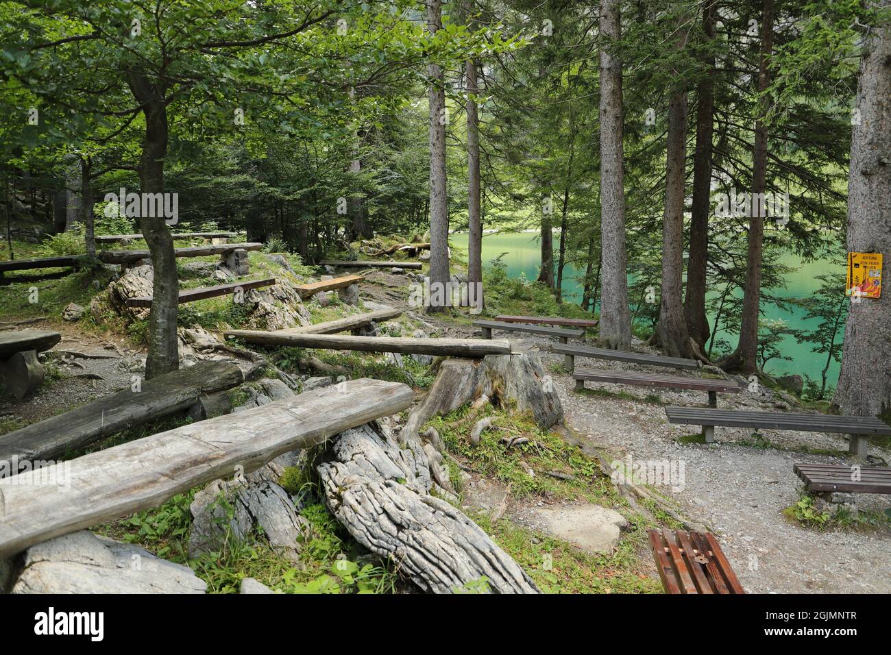 many tree trunks as benches in the forest Stock Photo - Alamy