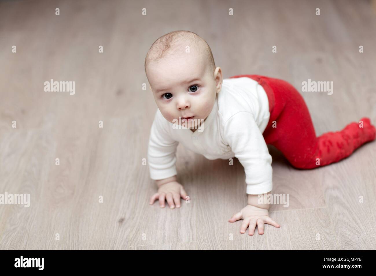 Creeping pose hi-res stock photography and images - Alamy