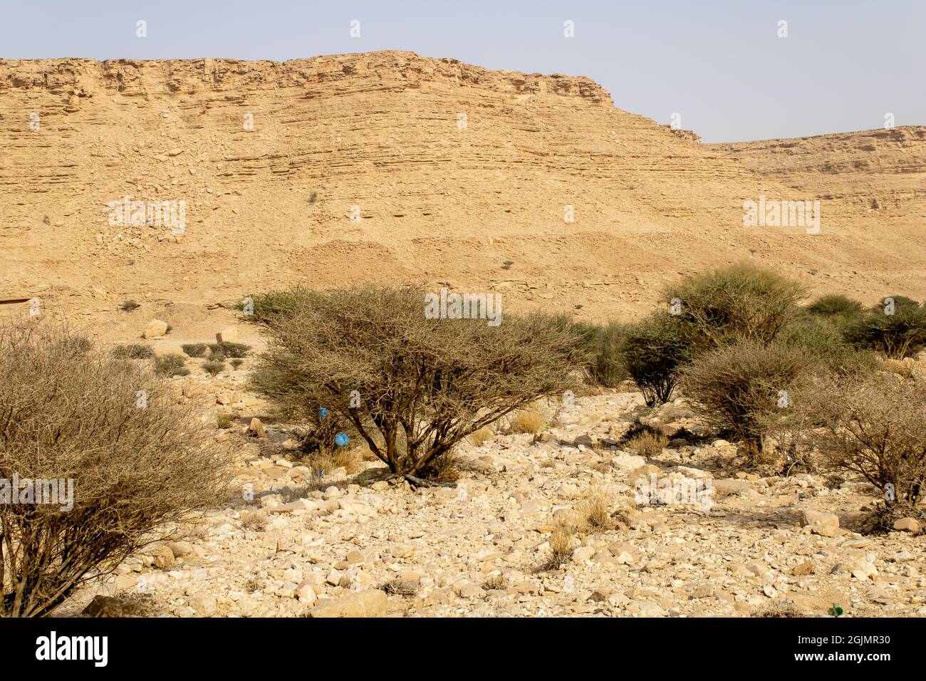 The bed of the Sha'ib Luha valley south of Riyadh, Saudi Arabia Stock ...