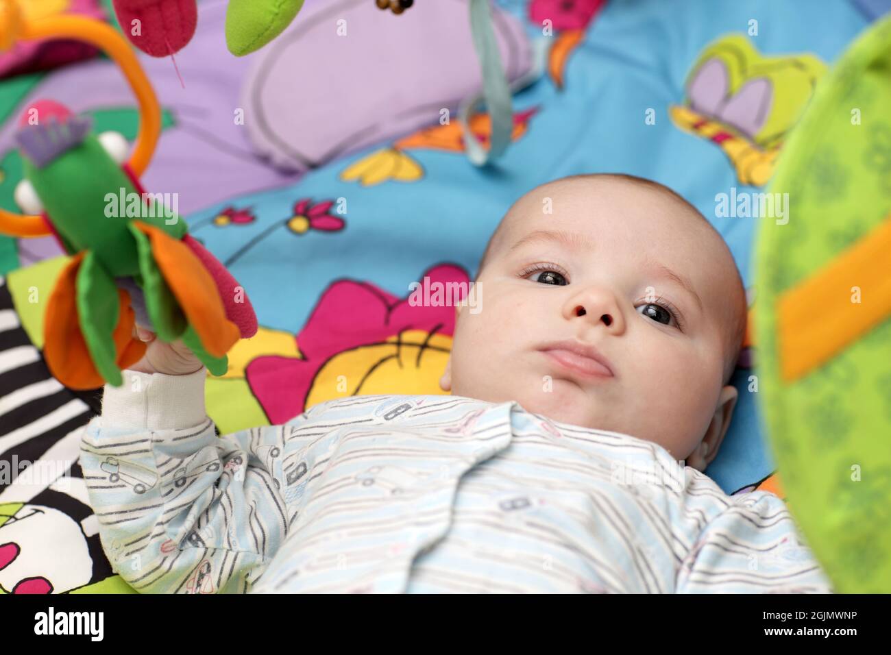 Portrait of serious baby boy at home Stock Photo - Alamy