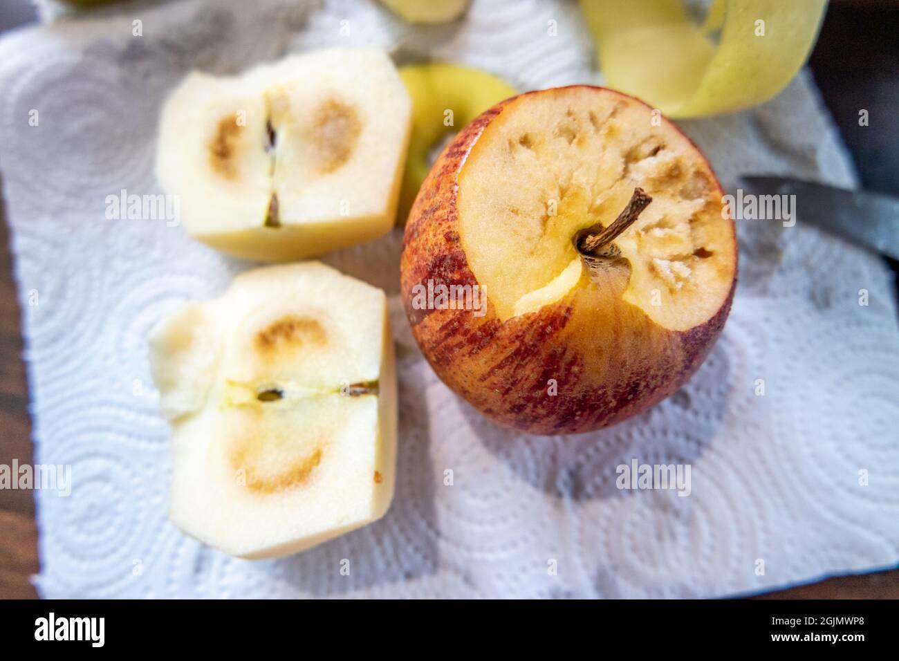 Rotten apple looking good from outside but rotten from inside Stock ...