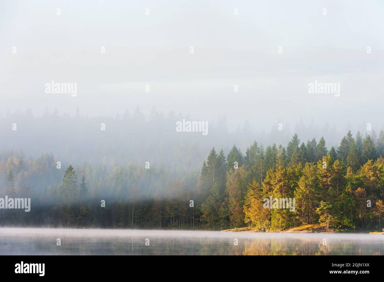 Peaceful lake image hi-res stock photography and images - Alamy