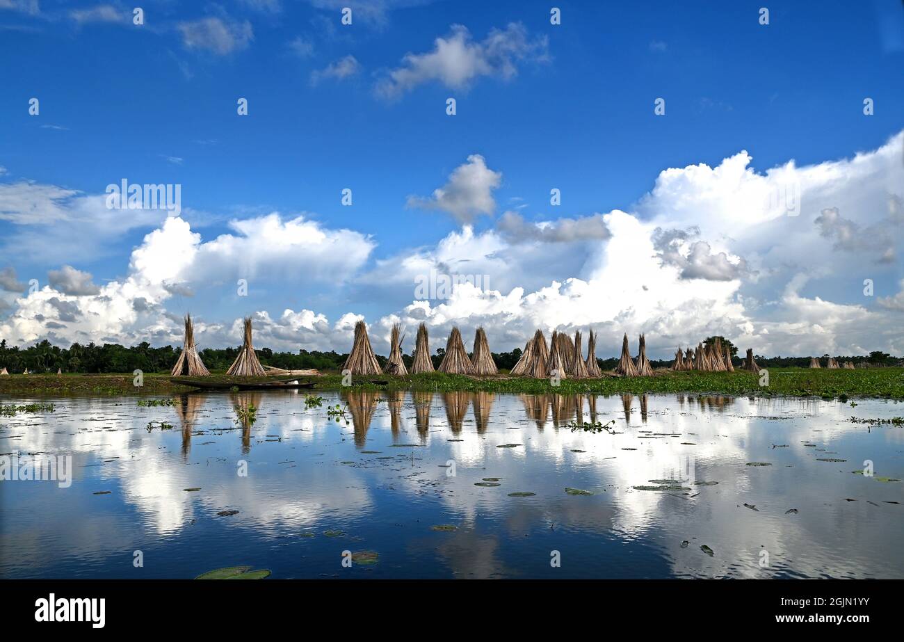 32 bortirisher bill hi-res stock photography and images - Alamy