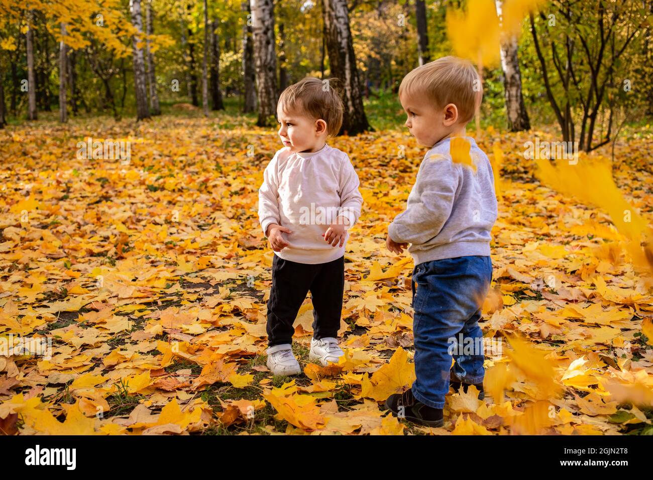 Autumn kid kids wood forest leaf fall hi-res stock photography and ...