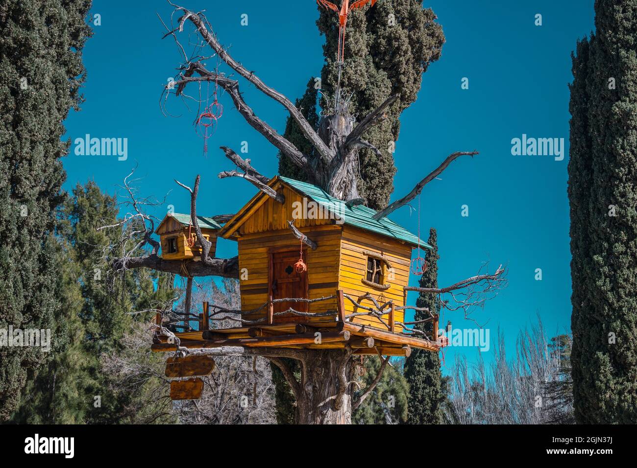Vertical shot of a big tree house in autumn Stock Photo - Alamy