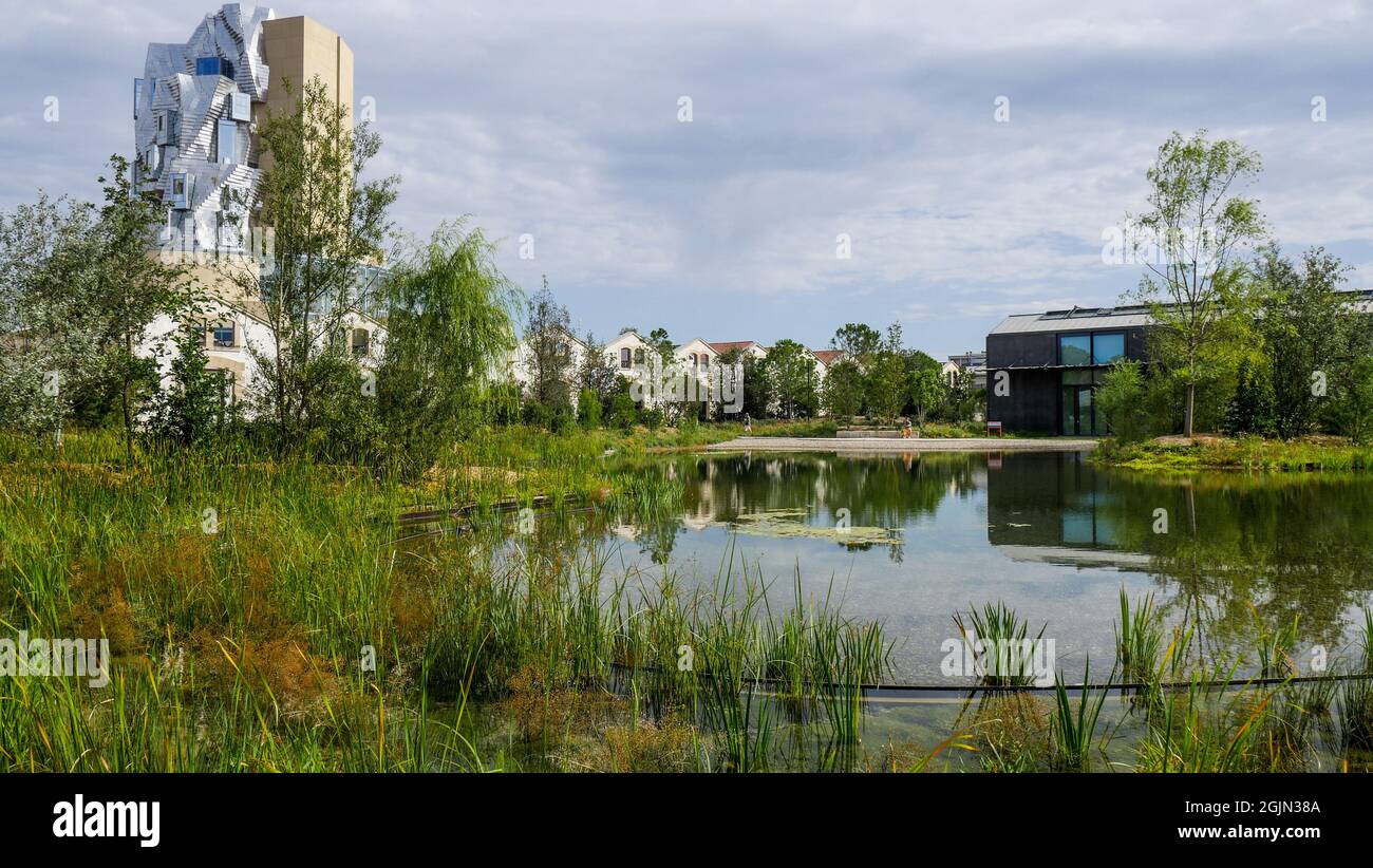 Bas smets hi-res stock photography and images - Alamy