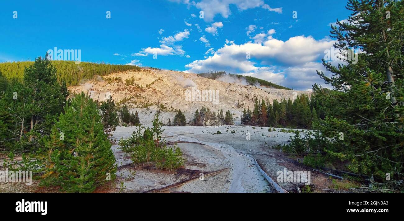Panoramic view at the Yellowstone National Park Stock Photo - Alamy