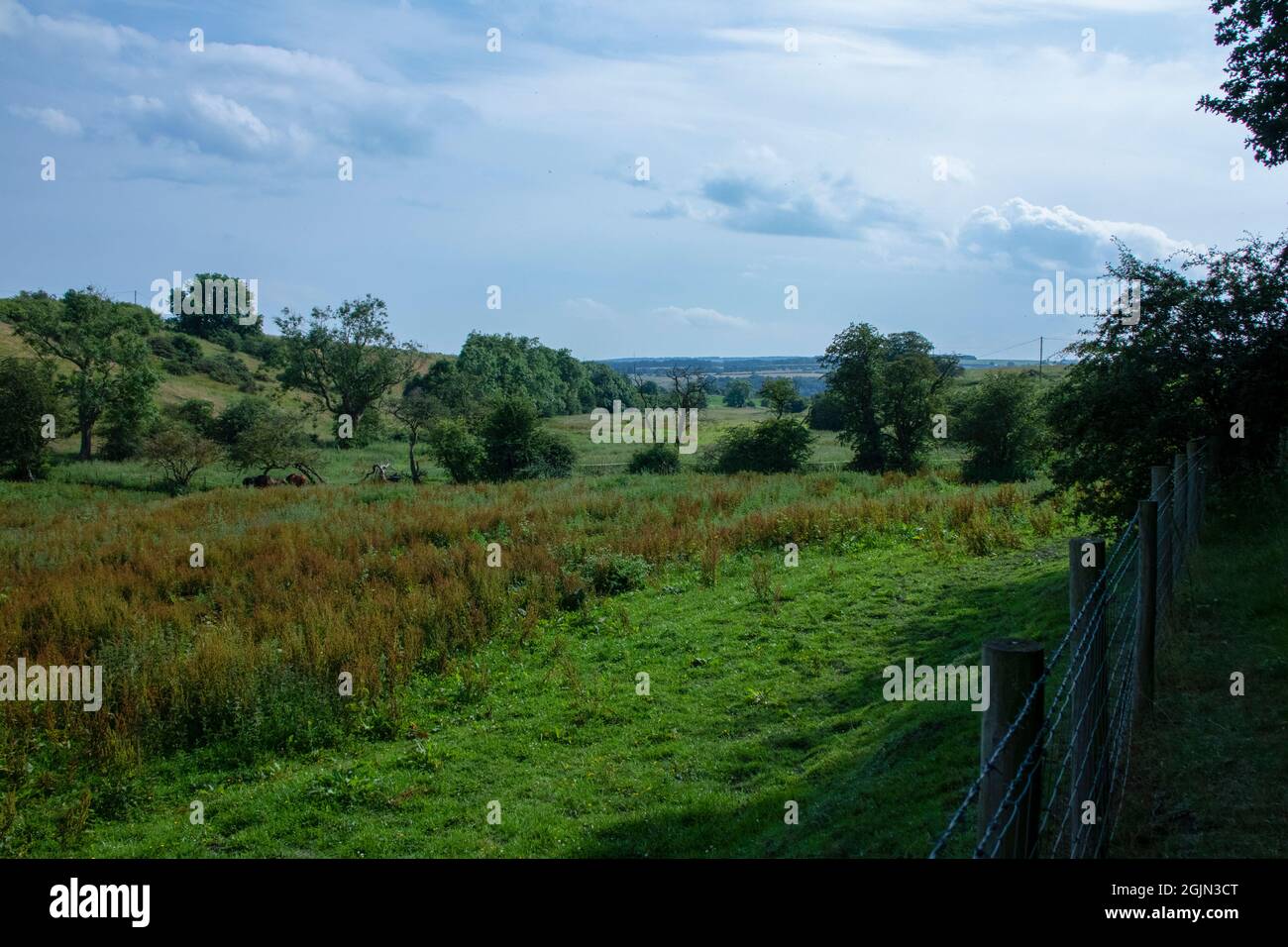 Witton valley hi-res stock photography and images - Alamy