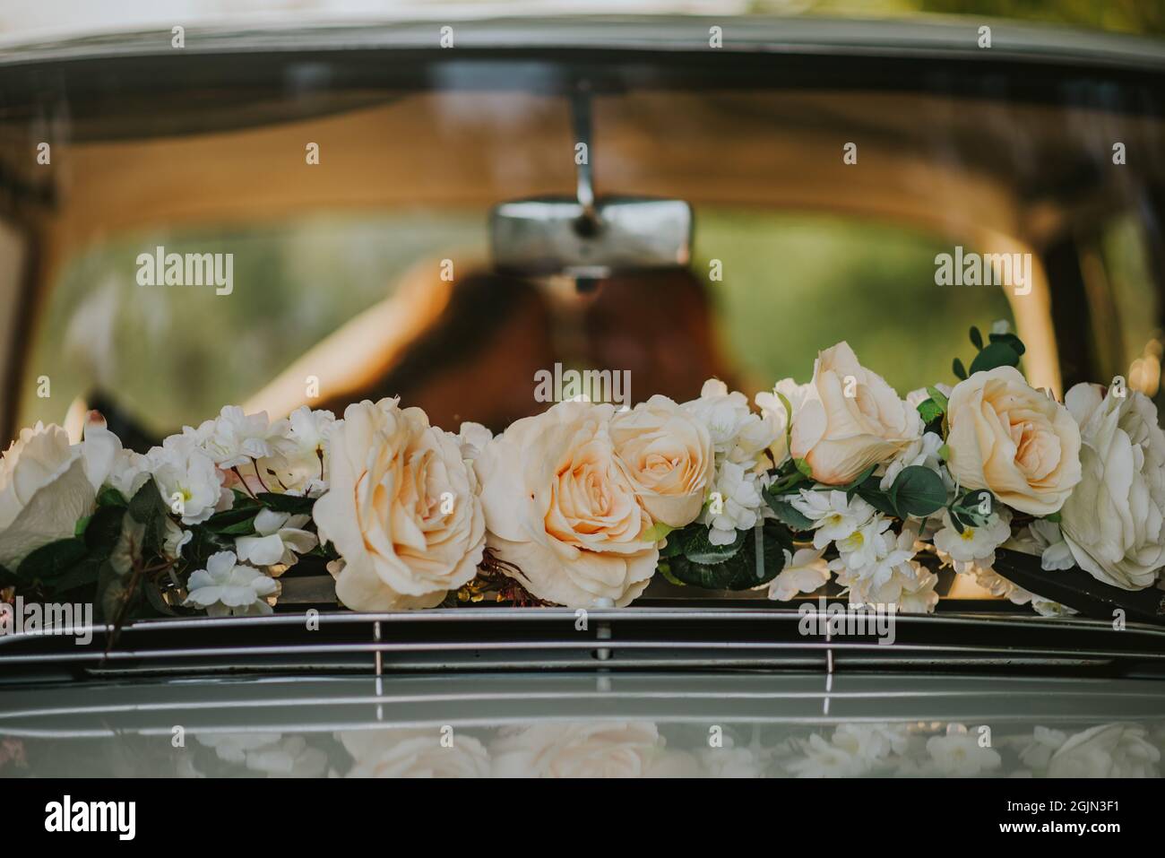 Fresh white roses on a wedding car's rear glass window Stock Photo - Alamy