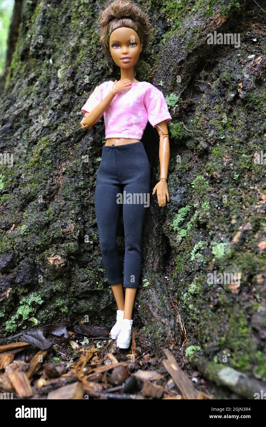 GREENVILLE, UNITED STATES - Aug 16, 2021: A closeup of a brunette dark ...