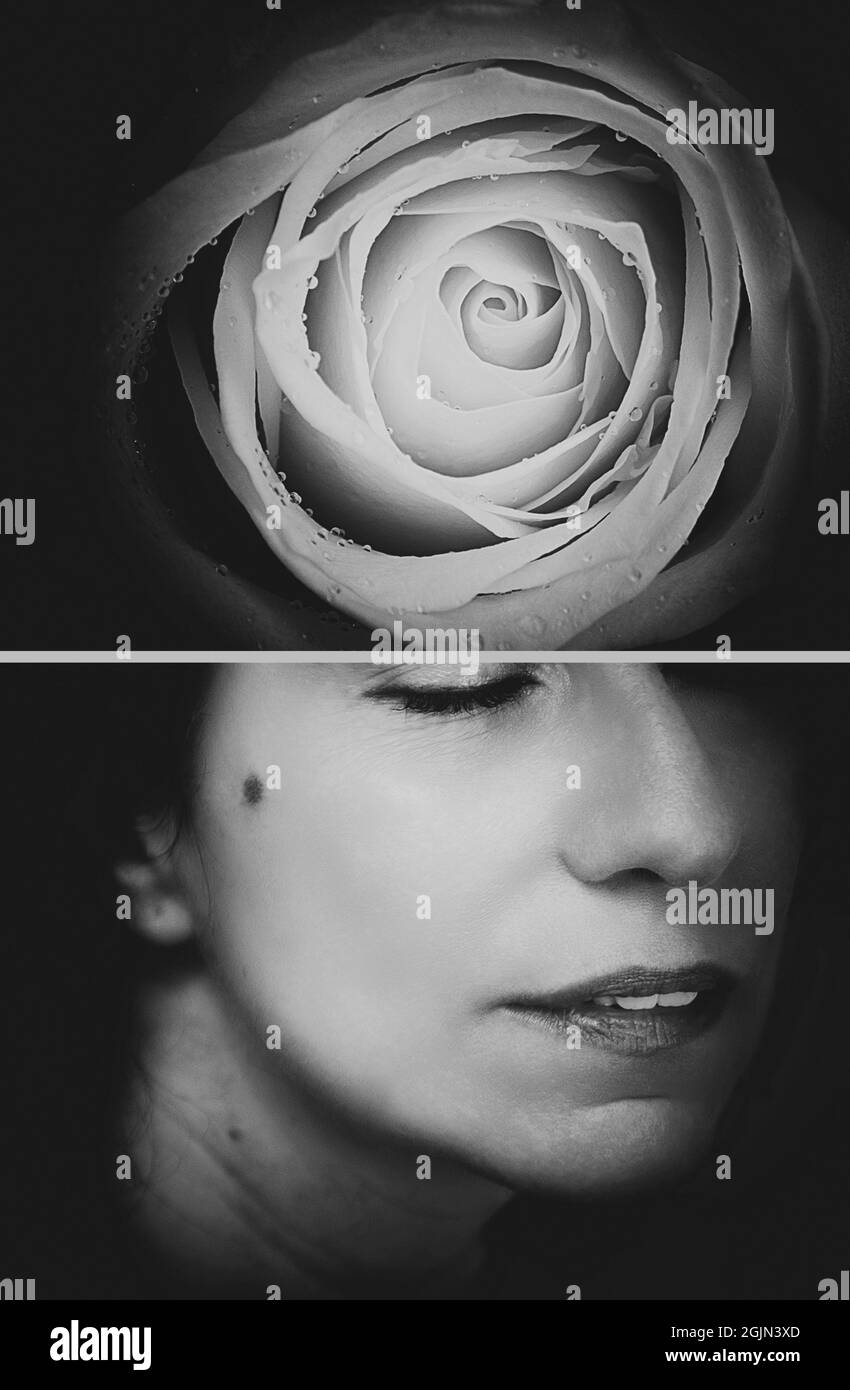 Rose on stone Black and White Stock Photos & Images - Alamy