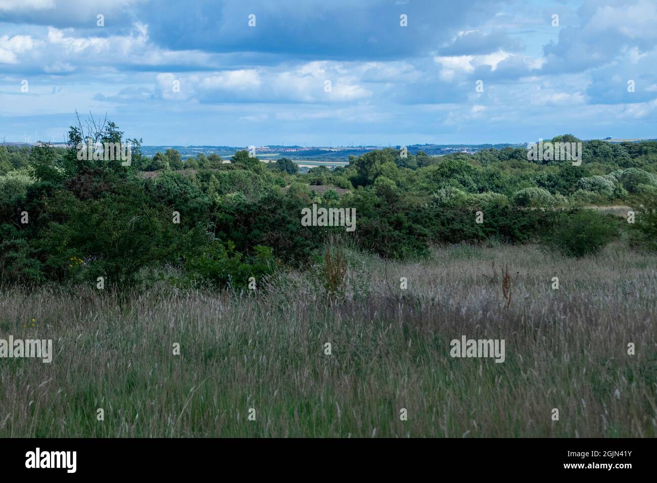 Summer reserve hi-res stock photography and images - Alamy