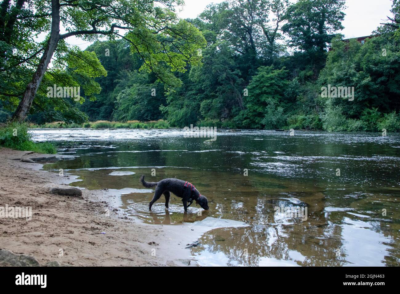 Durham in summer hi-res stock photography and images - Alamy