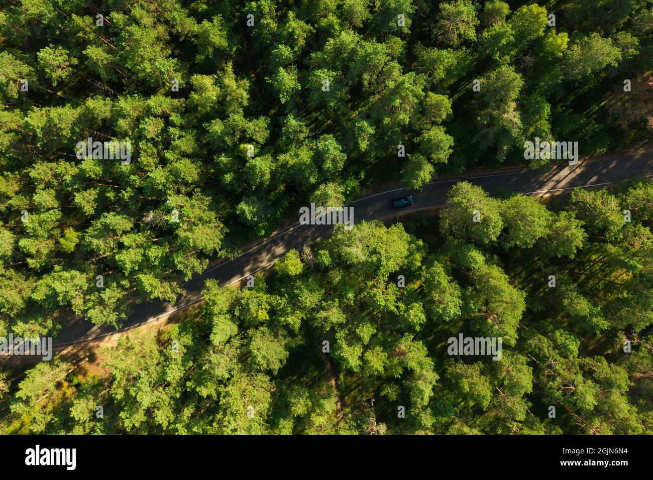 Forrest with street aerial hi-res stock photography and images - Alamy
