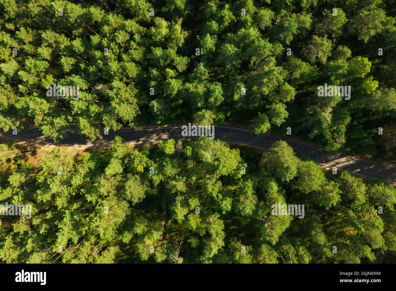 Aerial view of countryside road passing through the green forrest. High ...